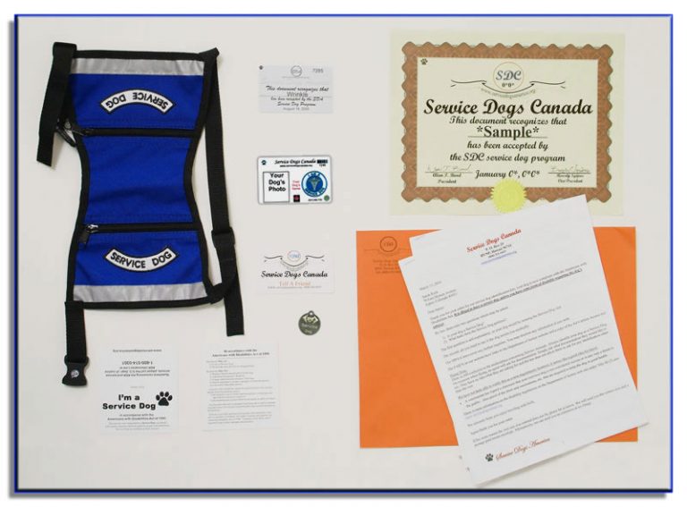 Service Dog ID Package - Service Dogs Canada
