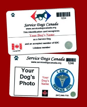 Service Dog Identification & Materials Online: Service Dogs Canada