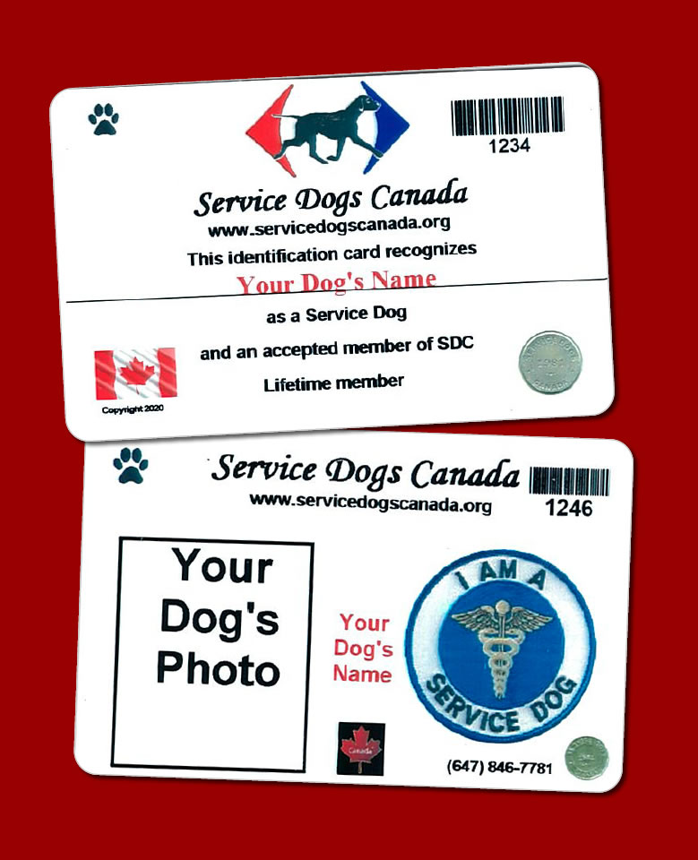 Service Dog Wallet Card - Service Dogs Canada